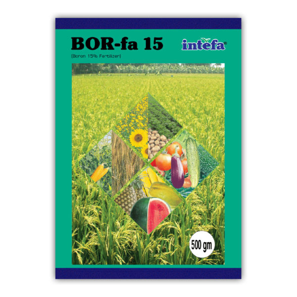 সার | ইনতেফা