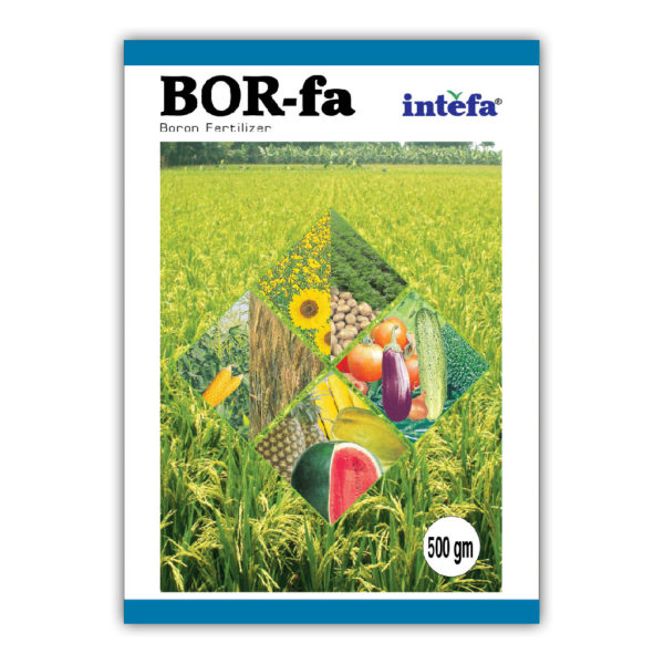 সার | ইনতেফা