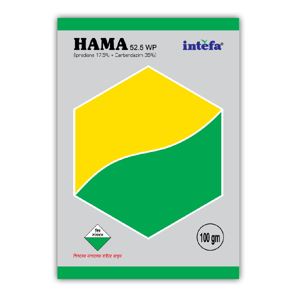 হামা ৫২.৫ ডব্লিউপি | ইনতেফা