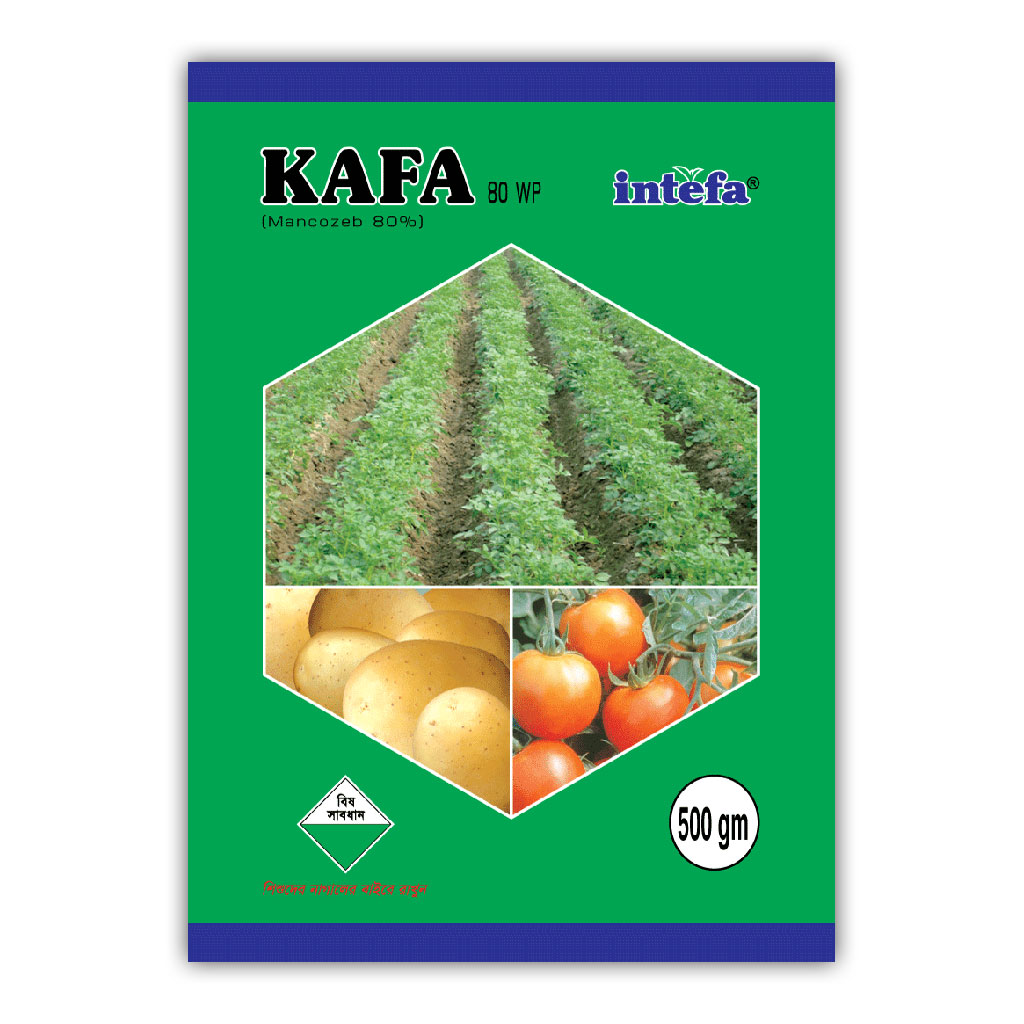 কাফা ৮০ ডব্লিউপি | ইনতেফা