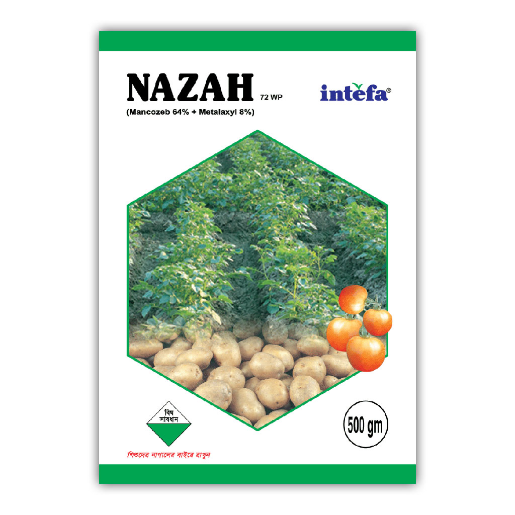 নাজাহ ৭২ ডব্লিউপি | ইনতেফা