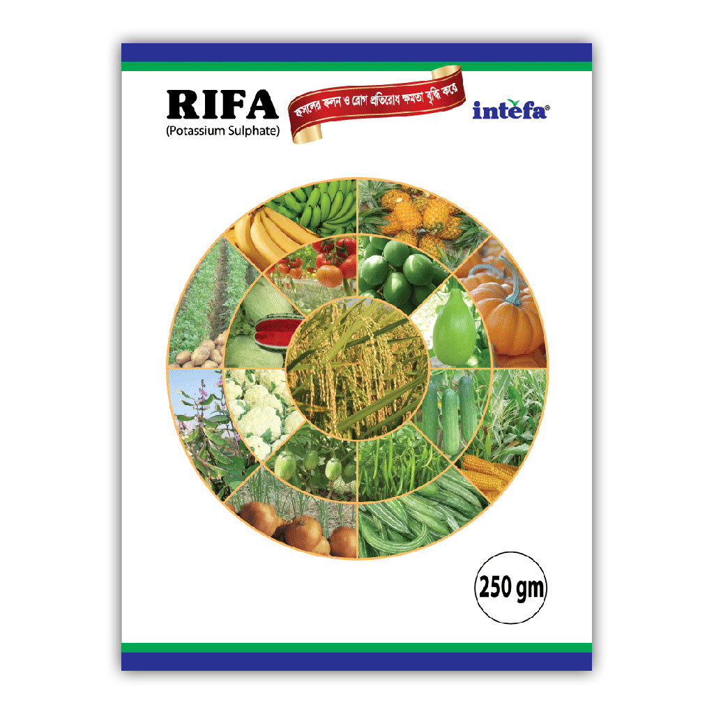 রিফা | ইনতেফা