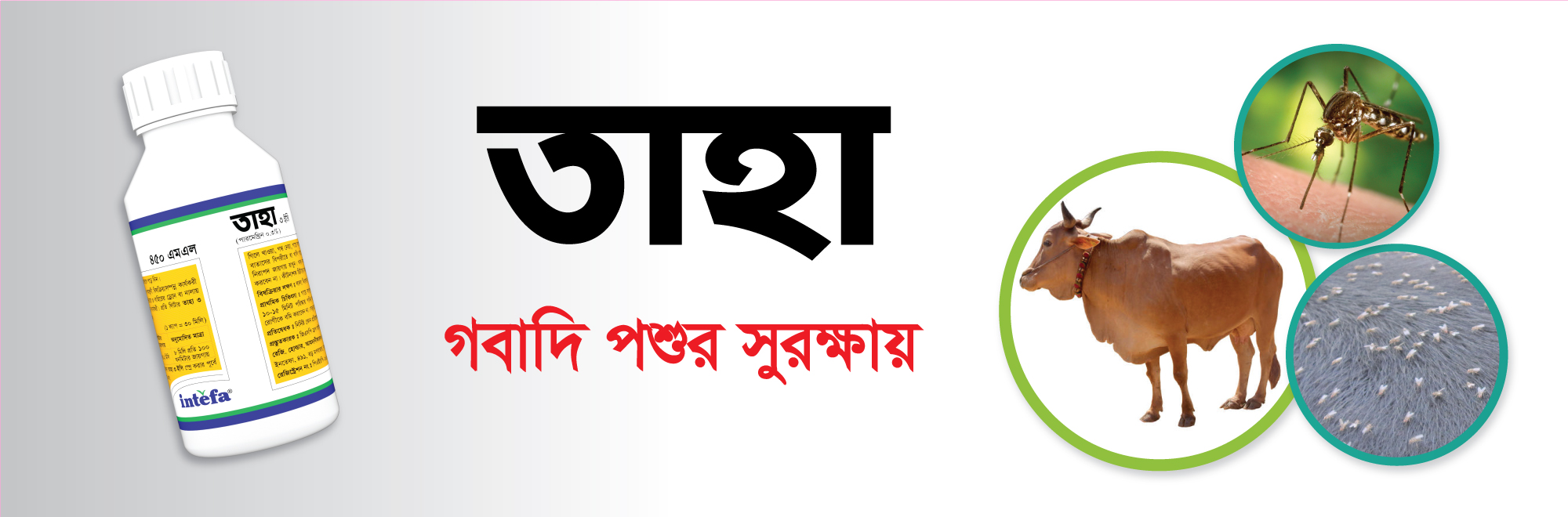 ইনতেফা | কল্যাণে অঙ্গীকারবদ্ধ