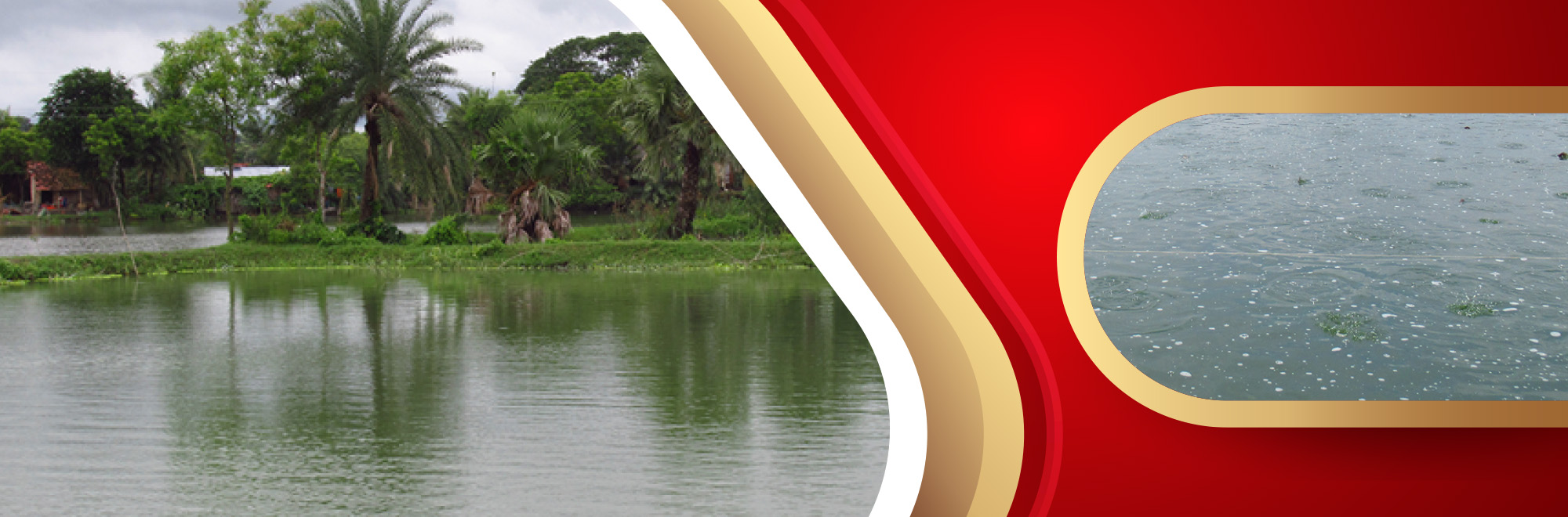 ইনতেফা | Page 4 of 5 | কল্যাণে অঙ্গীকারবদ্ধ