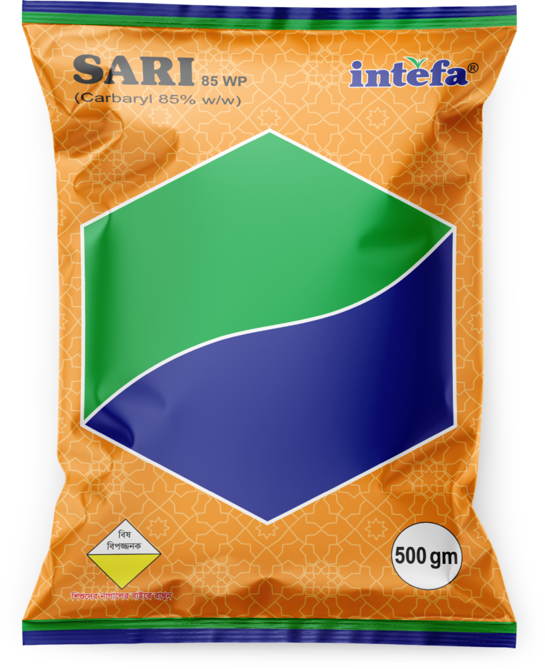 সারি ৮৫ ডব্লিউপি | ইনতেফা